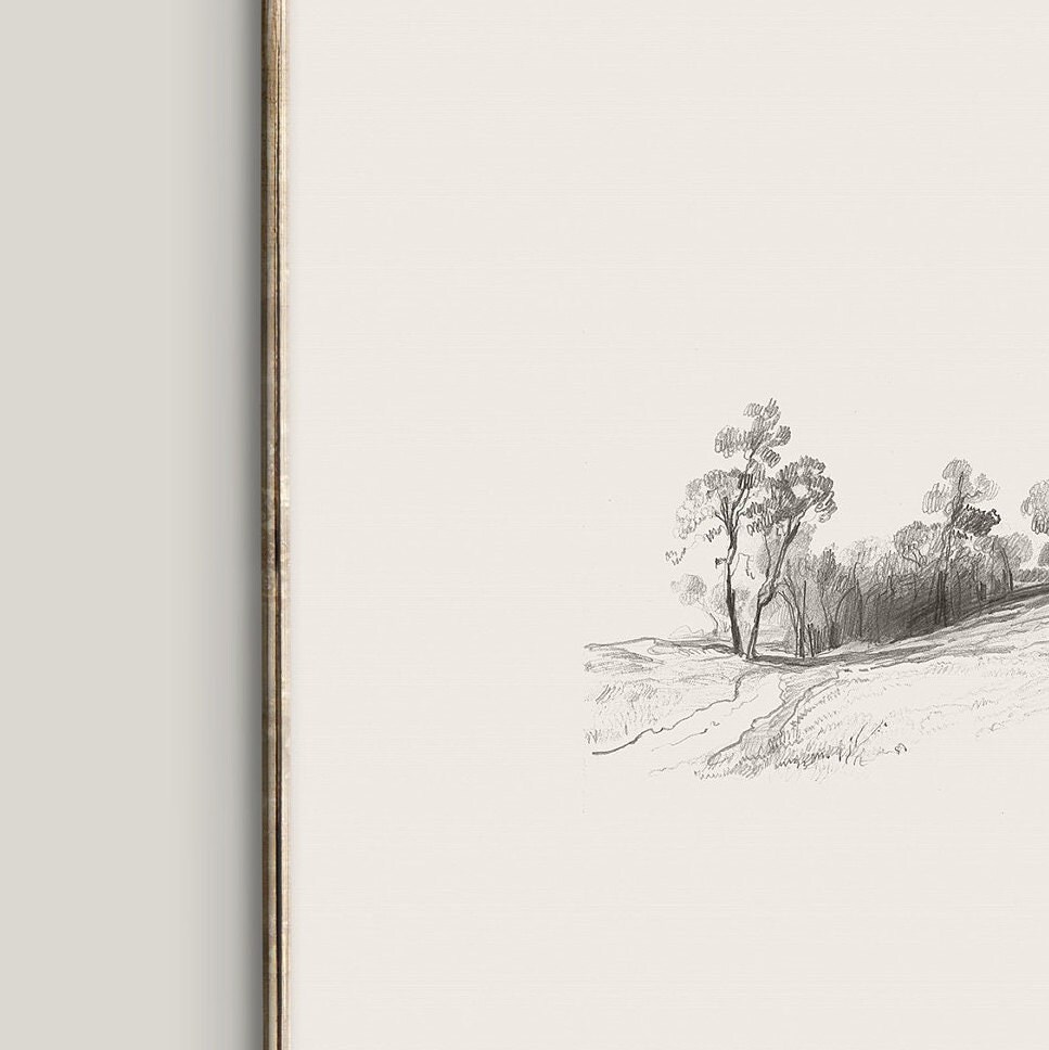 Vintage Forest Drawing Sketch Drawing Print Digital - Etsy