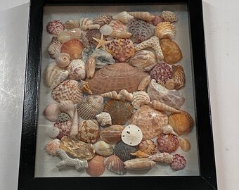 Shell Shadow Box Wall Art - Etsy