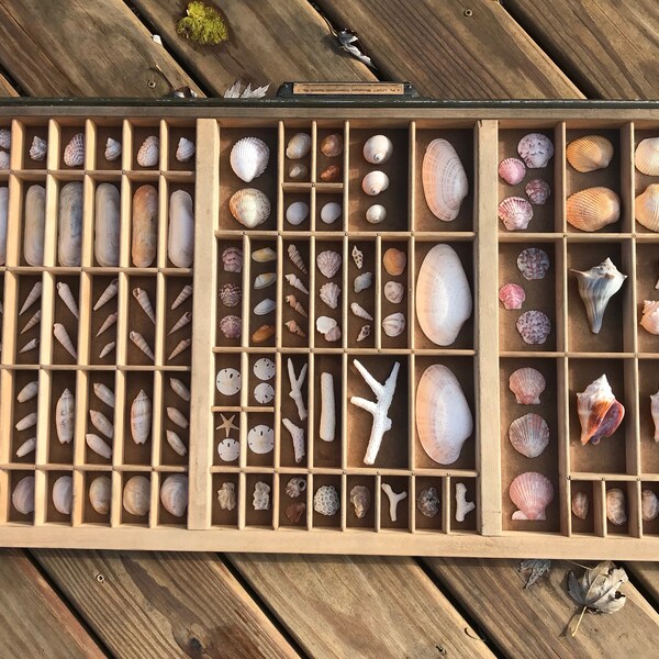 Printers Drawer - Etsy