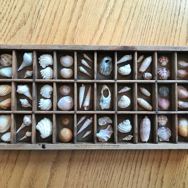 Printers Tray - Etsy