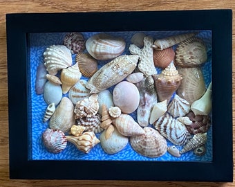 Shell Shadow Box Wall Art - Etsy