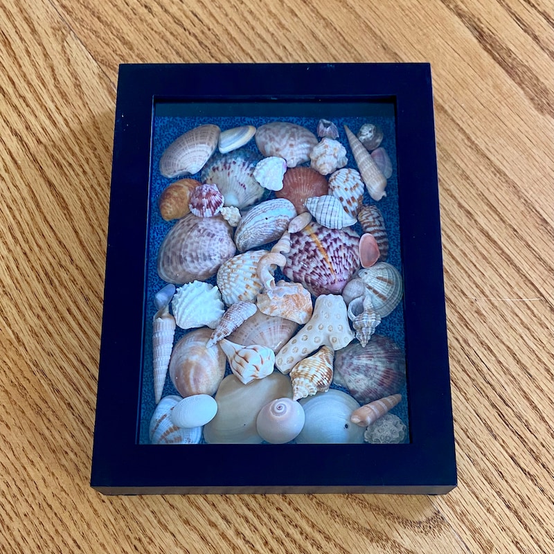 Shell Shadow Box - Etsy
