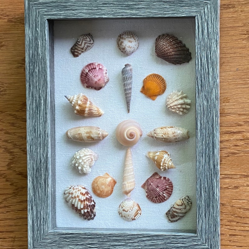 Shell Art Shadow Box - Etsy