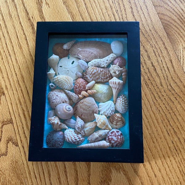 Seashell Shadow Box - Etsy