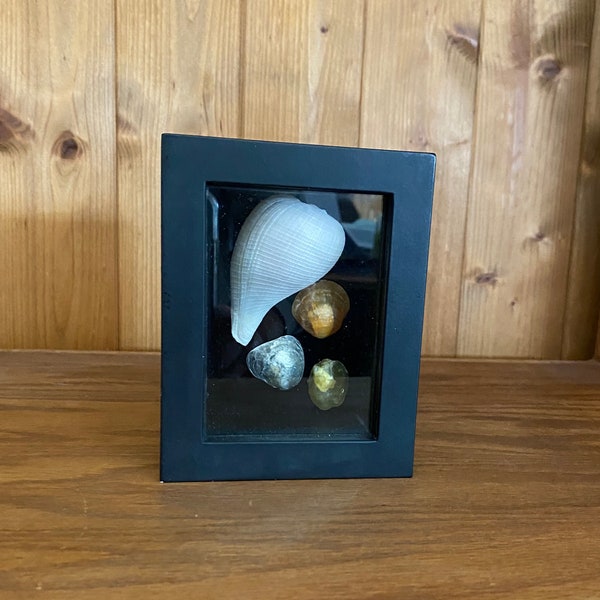 Framed Shell Art - Etsy
