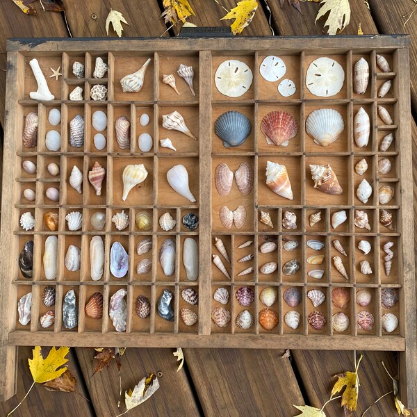 Printers Type Tray - Etsy