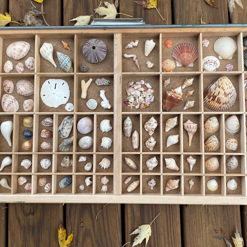 Printers Tray - Etsy