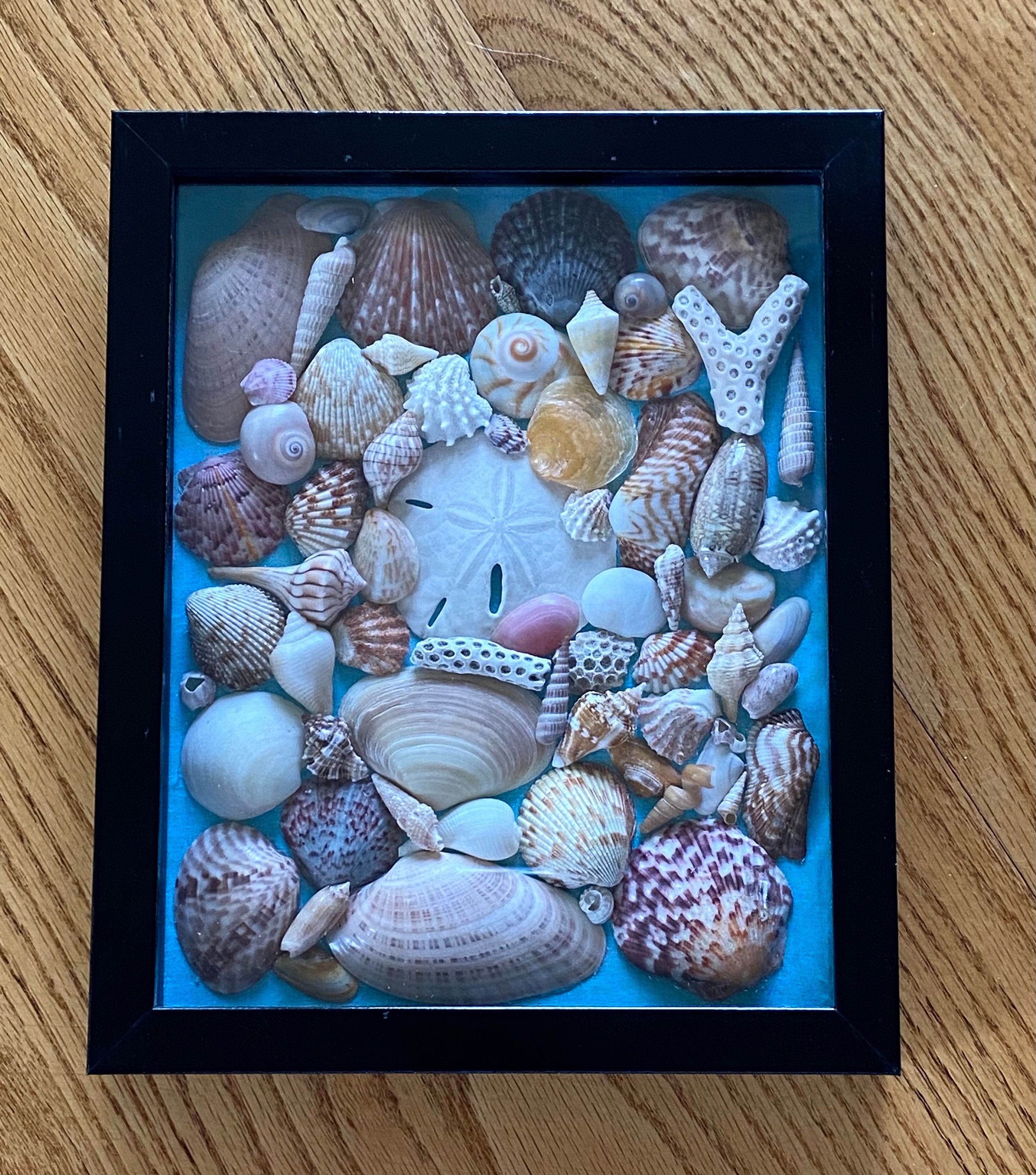 Sea Shell Art Shadow Box