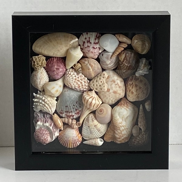 Shell Art Shadow Box - Etsy