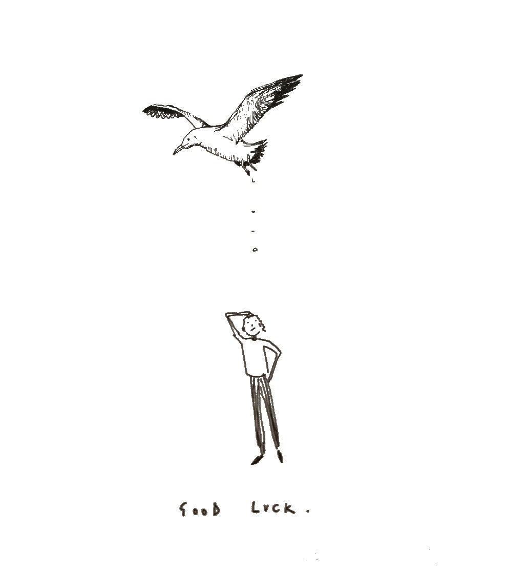 Good Luck Card Blank Greeting Card Poo Humour - Etsy