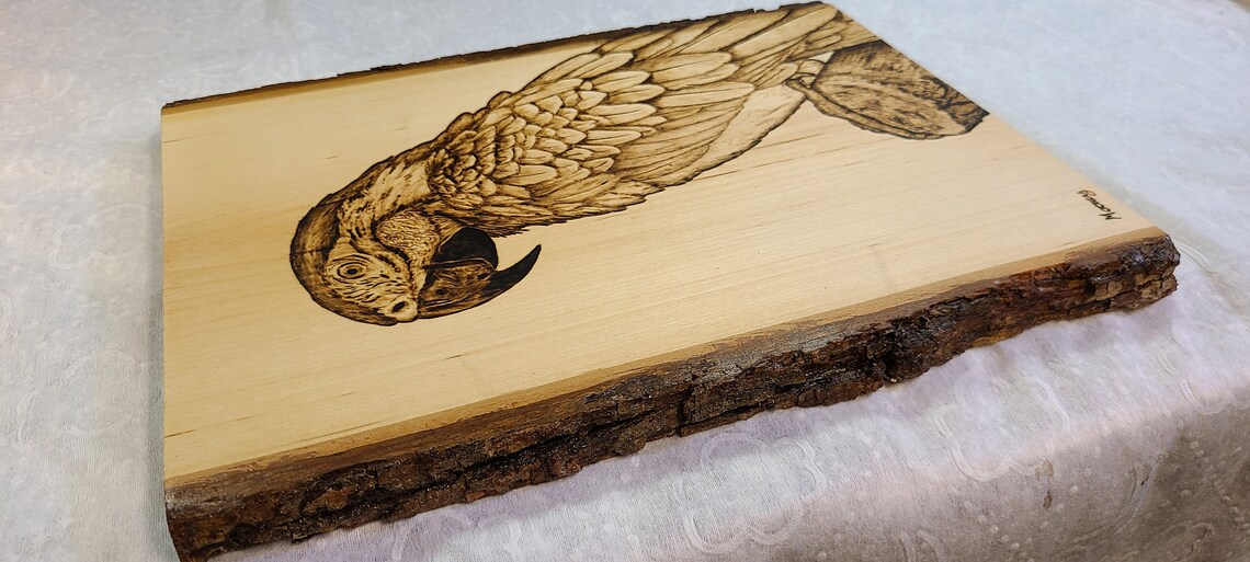 Parrot - Macaw Wood Burning - Etsy