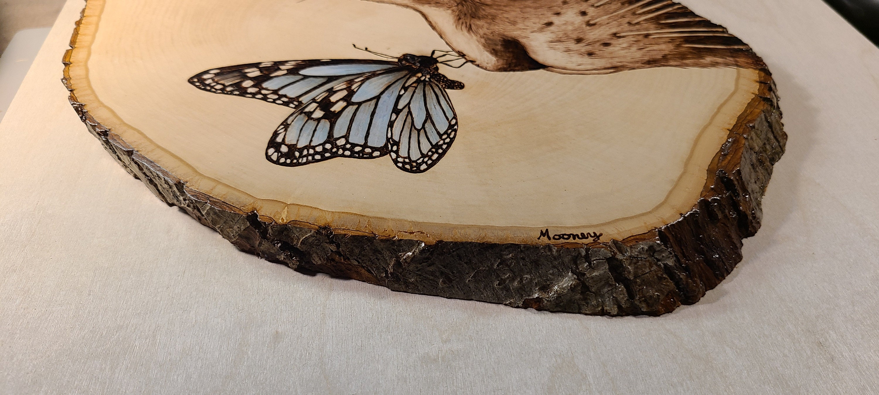 Cat Blue Butterfly Wood Burning - Etsy