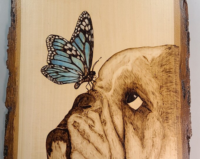 Bulldog - Butterfly Wood Burning - Etsy