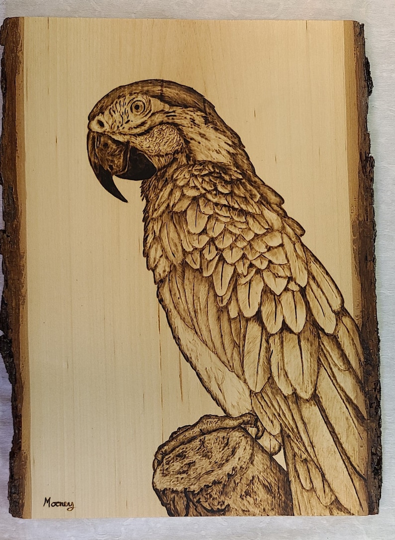 Parrot - Macaw Wood Burning - Etsy