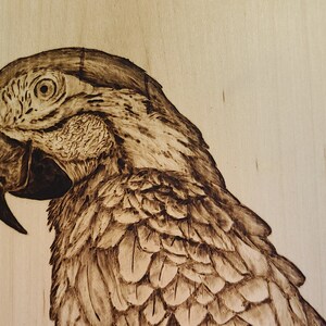 Parrot - Macaw Wood Burning - Etsy