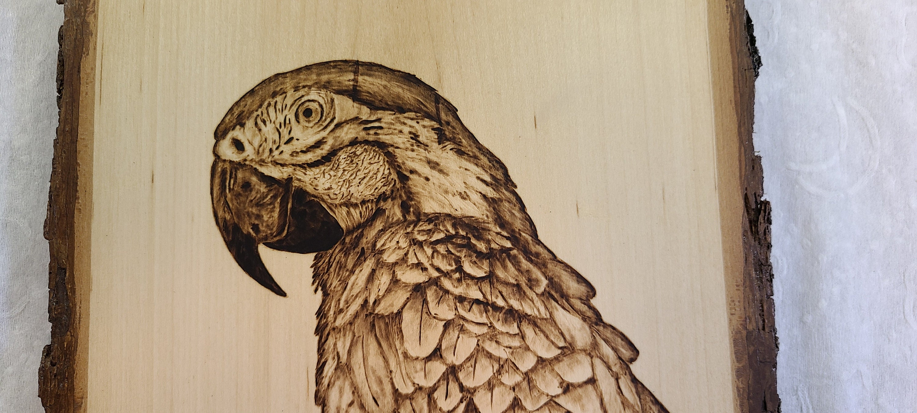 Parrot - Macaw Wood Burning - Etsy