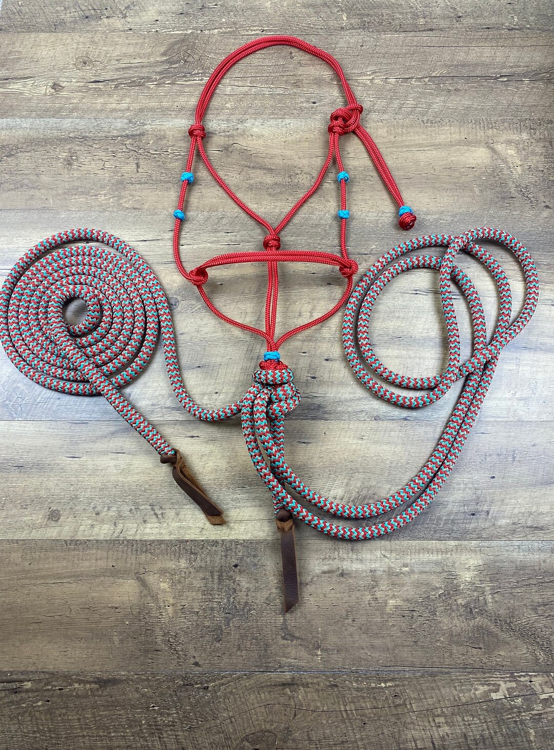 Custom Halter and Mecate Rein Set, Custom Mecate Reins, Mecate Training ...