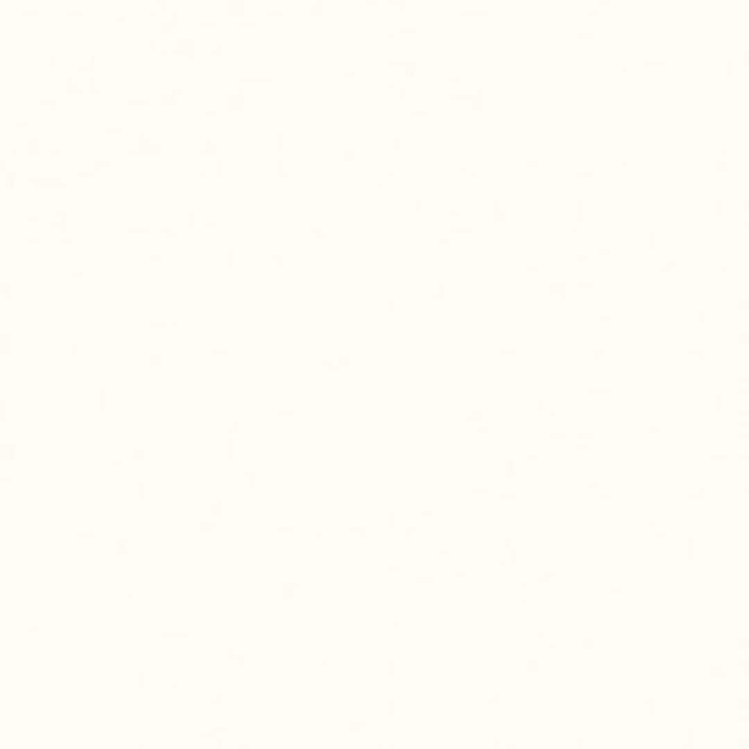 Solid in Light Cream amb-02 American Made Brand Cotton Solids American ...