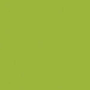 Solid in Light Olive (amb_23) | American Made Brand Cotton Solids ...