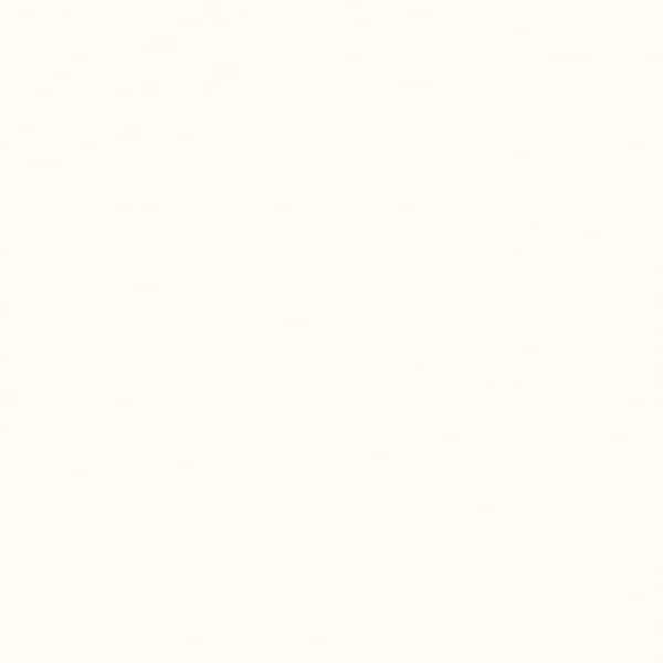 Solid in Light Cream (amb-02) | American Made Brand Cotton Solids ...