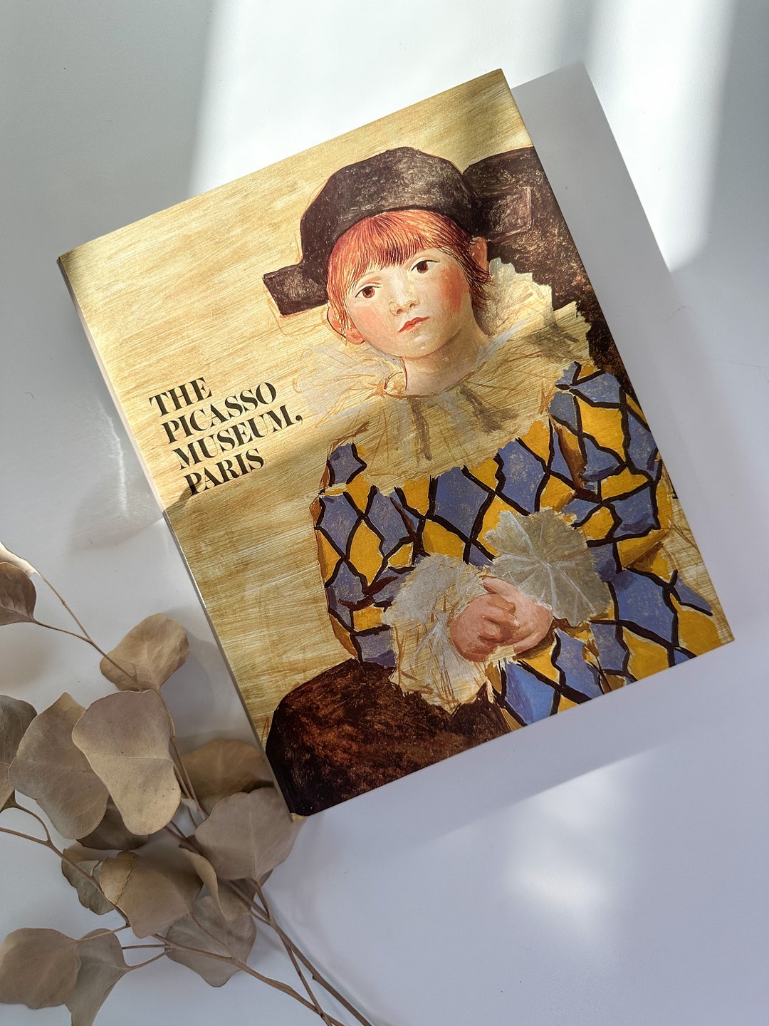 Vintage Picasso Book “the Picasso Museum, Paris” Vintage Art Book ...