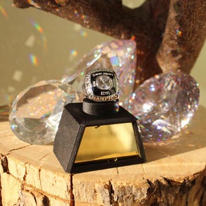 Personalized Custom World Champion Ring - Football, Baseball ...