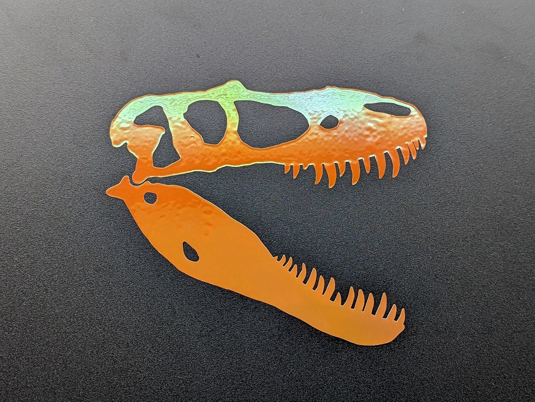 Albertosaurus Skull Vinyl Decal - Holographic - Etsy