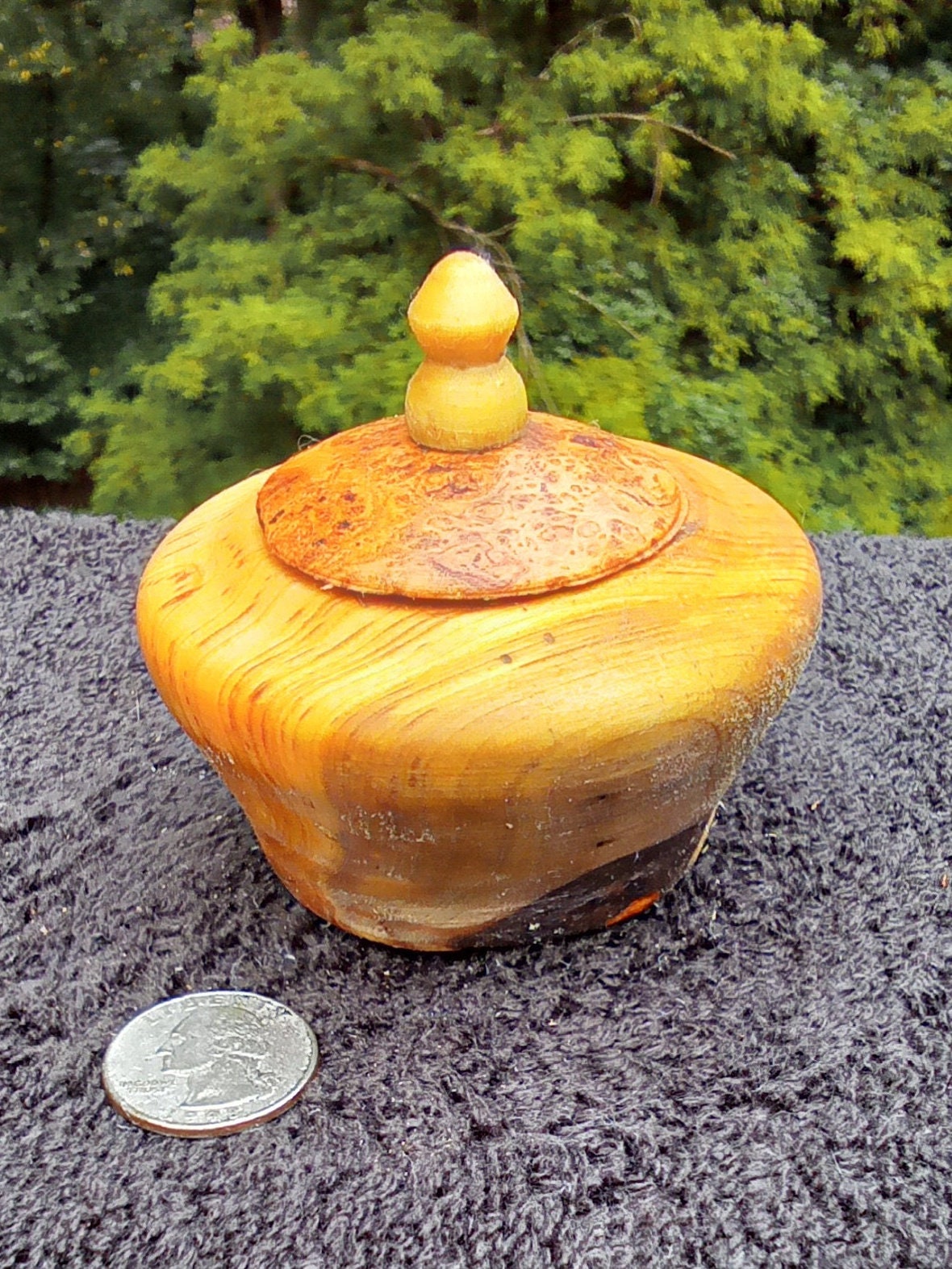 Cherry Covered Box With Cherry Burl Lid - Etsy
