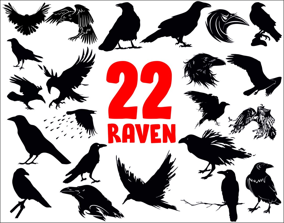 Raven svg ravens svgraven clipart raven silhouette raven - Etsy France