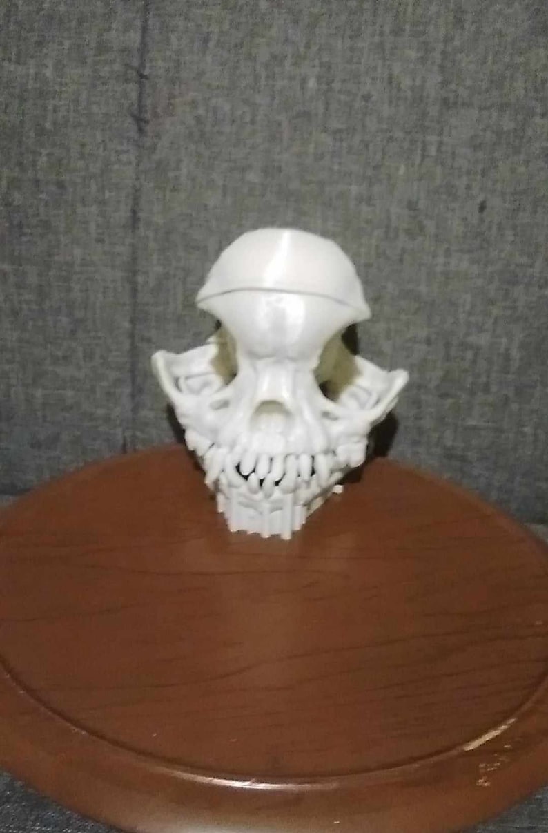 Pug Skull Replica 3D Printed Pug - Etsy