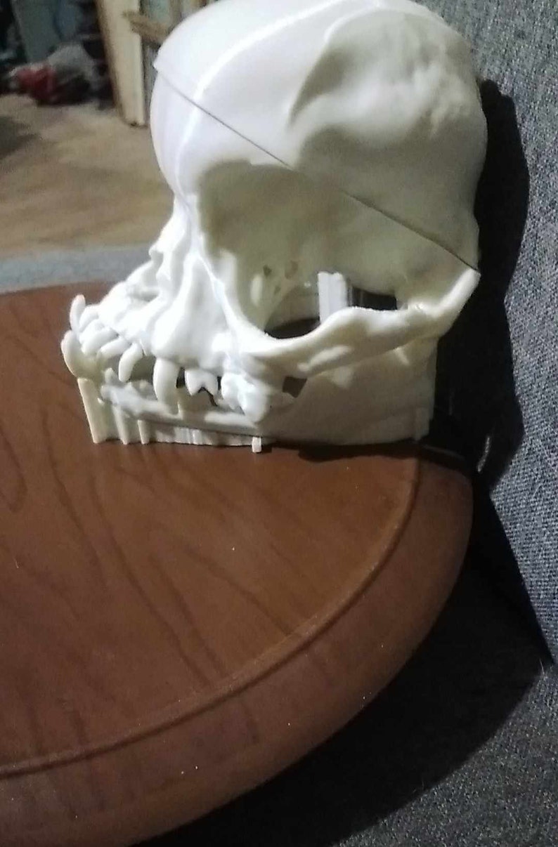 Pug Skull Replica 3D Printed Pug - Etsy