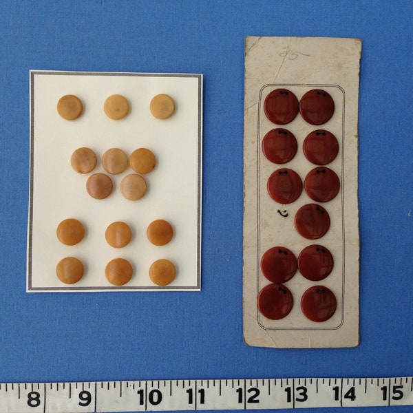 Vegetable Ivory - Etsy