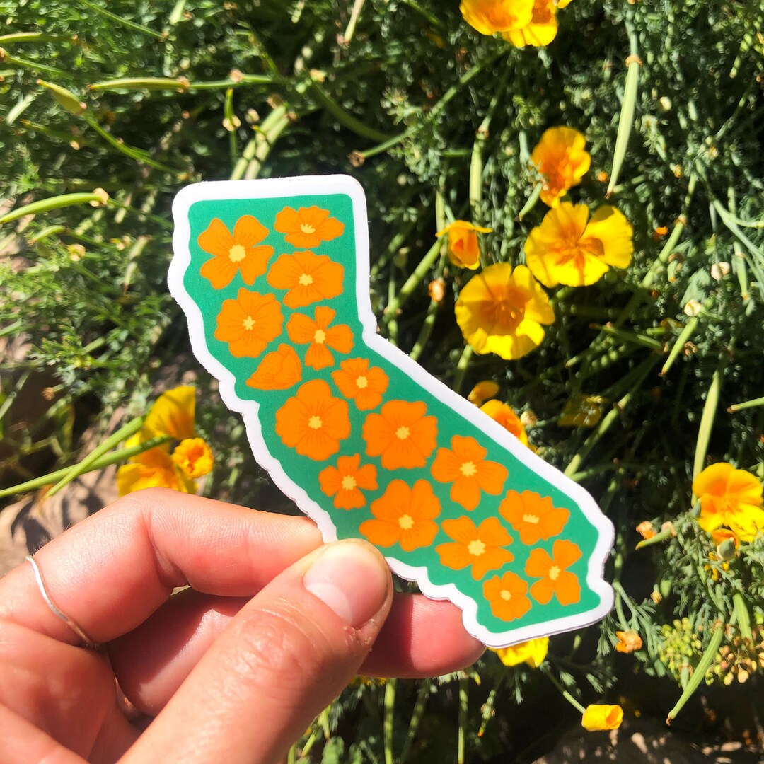 California Poppy Sticker // 3 Vinyl Weatherproof Laptop Sticker, Hydro ...