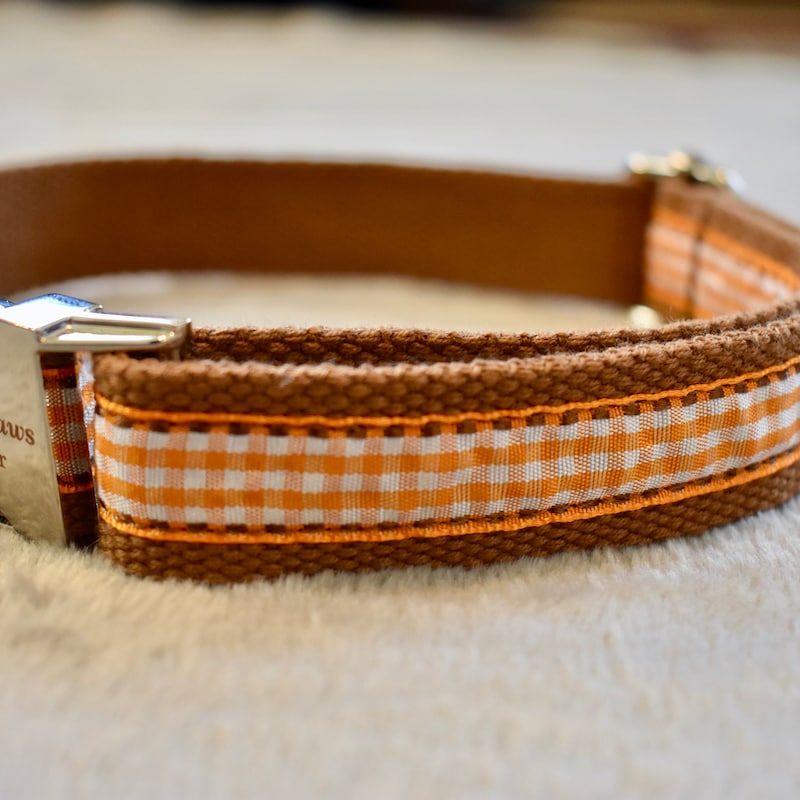 Orange Dog Collar - Etsy