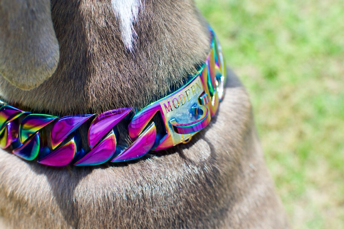 Cuban Link Dog Chain - Etsy