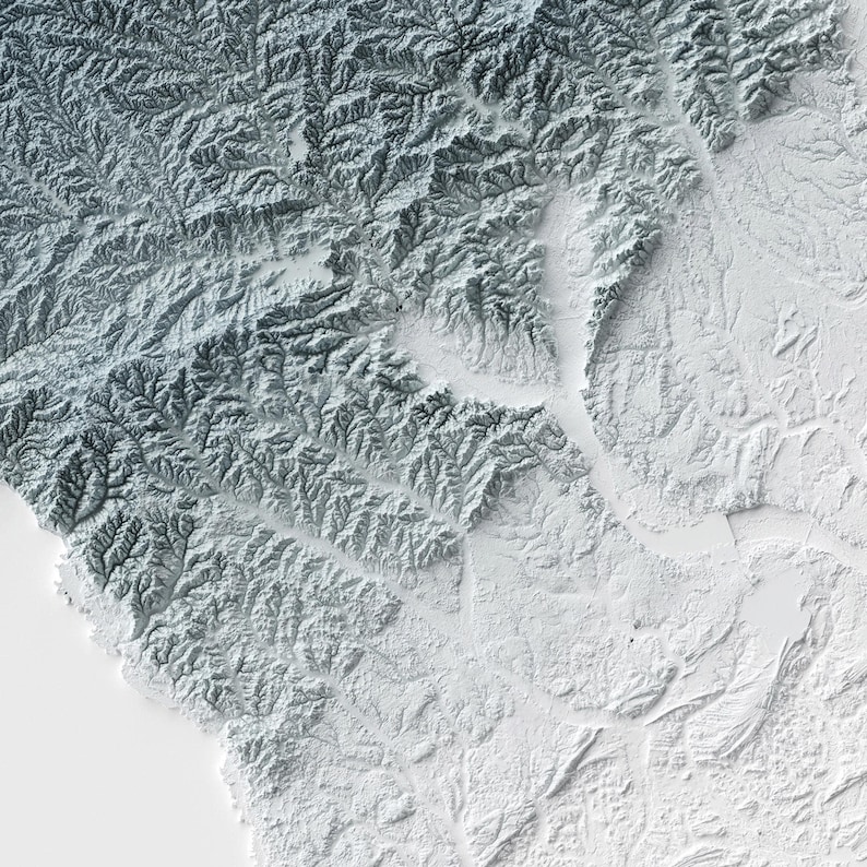 South Carolina Poster | Topographic Shaded Relief Map (minimalist Style ...