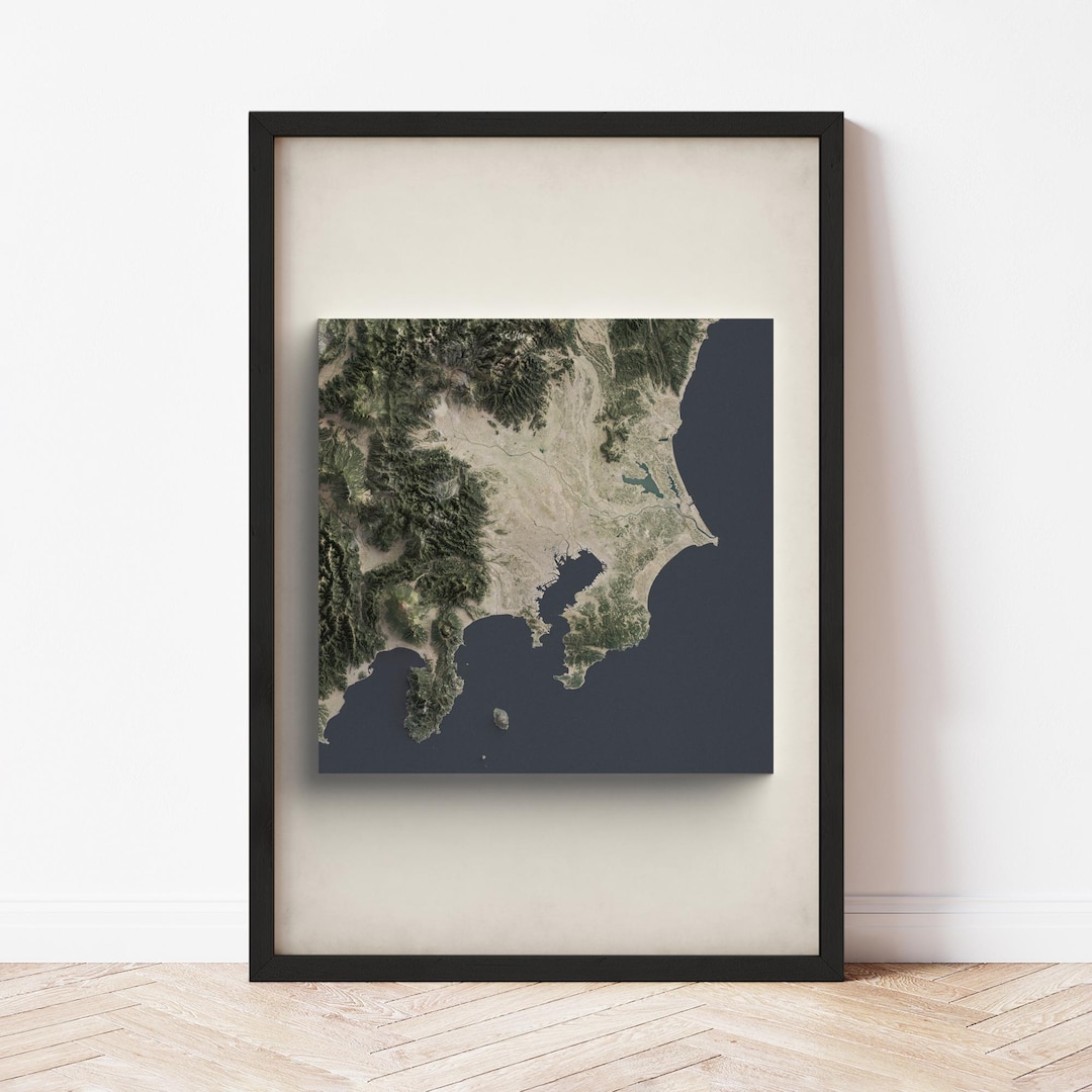 Tokyo Topographic Map Print satellite Collection East of Nowhere ...