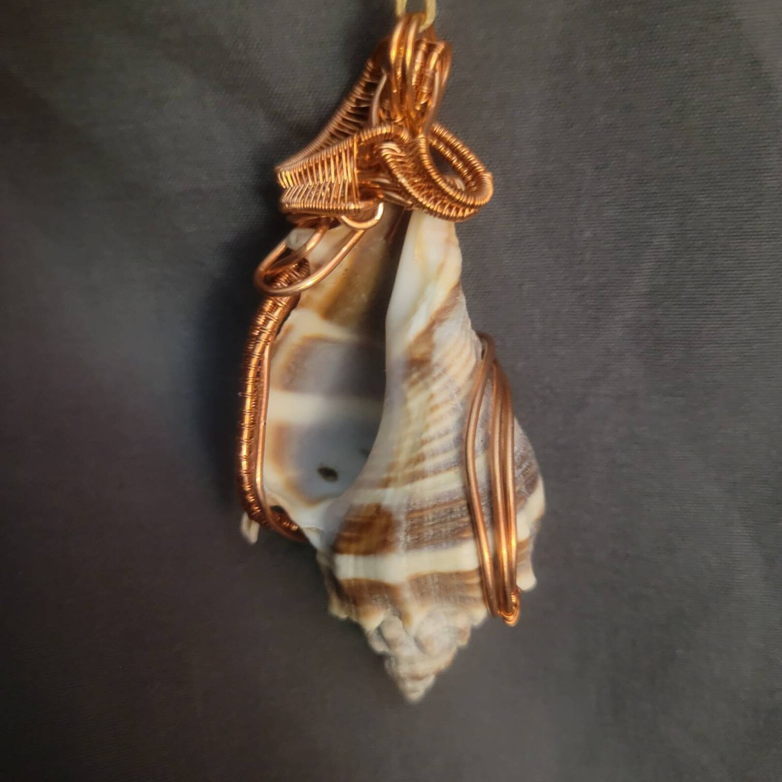 Seashell Wrapped in Copper Wire - Etsy