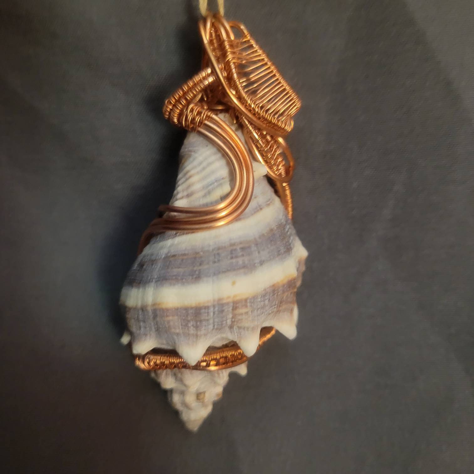 Seashell Wrapped in Copper Wire - Etsy