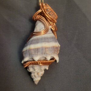 Seashell Wrapped in Copper Wire - Etsy
