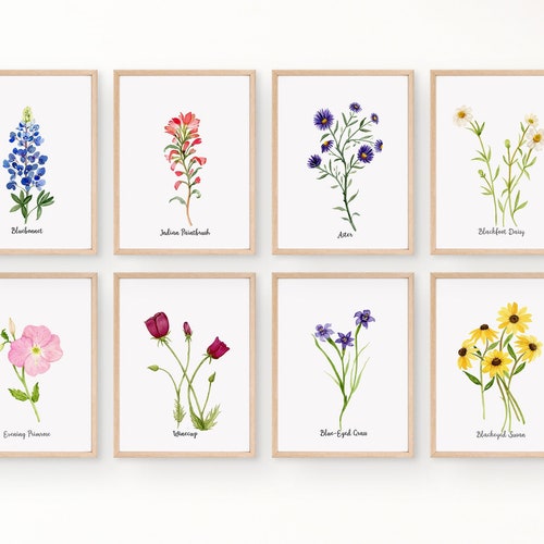 Spring Wildflowers Watercolor Wildflower Print Texas - Etsy