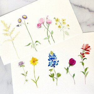 Wildflower Artwork, Texas Wildflower Art Print, Watercolor Spring ...