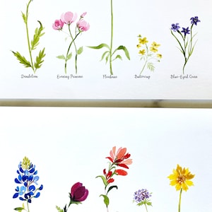 Wildflower Artwork, Texas Wildflower Art Print, Watercolor Spring ...