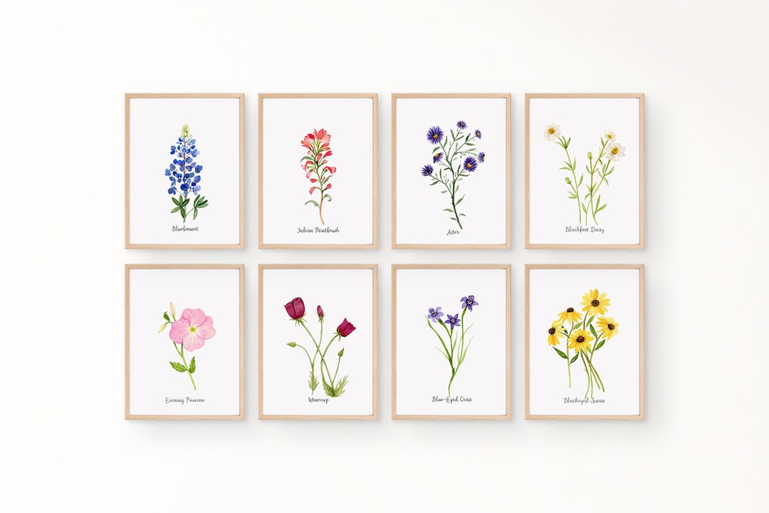 Texas Wildflower Watercolor Art Prints: Spring Botanical Set of 8 - Etsy
