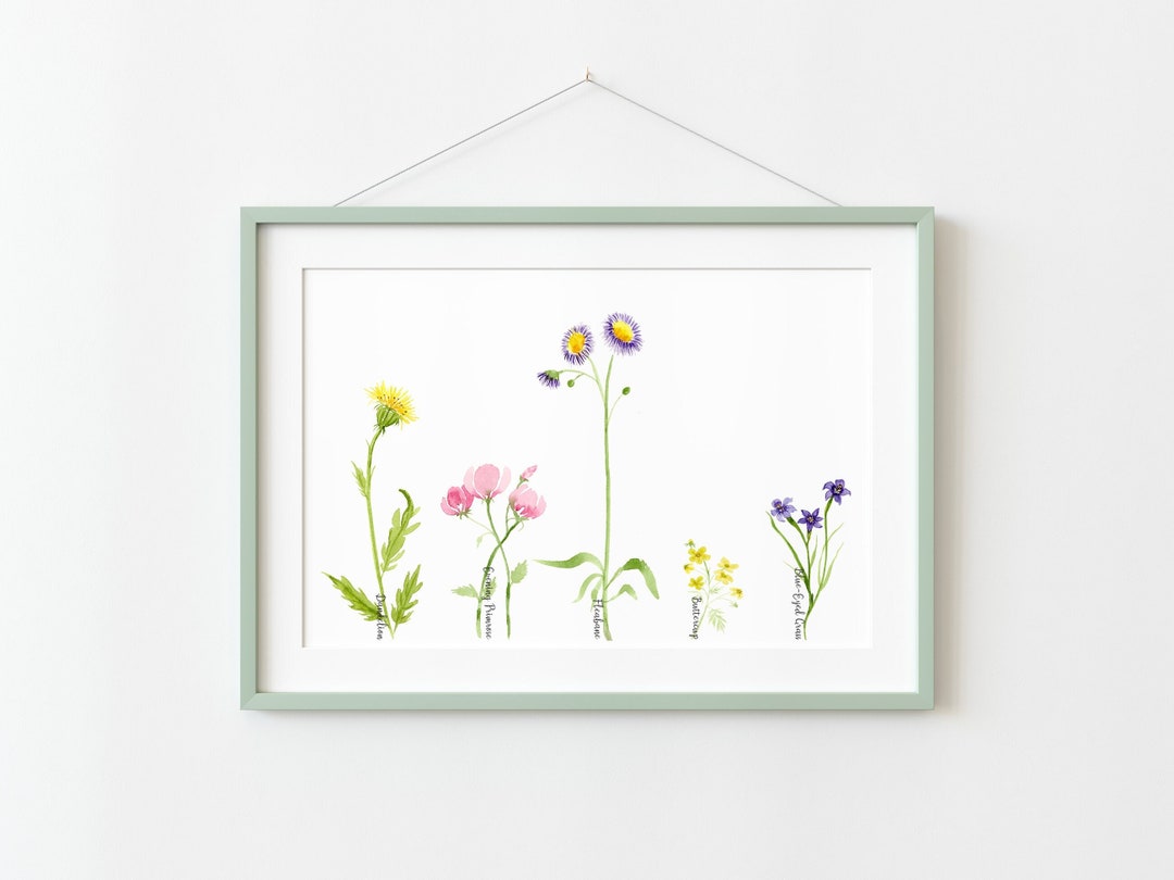 Wildflower Artwork, Texas Wildflower Art Print, Watercolor Spring ...
