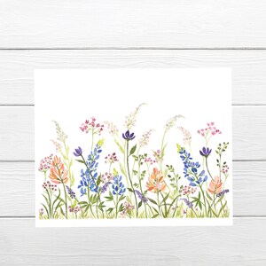 Spring Wildflowers, Watercolor Wildflower Print, Texas Wildflower Art ...