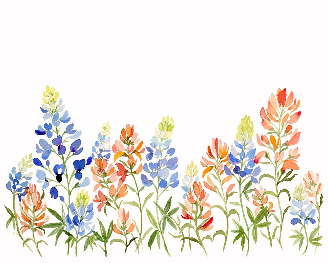 Watercolor Wildflower Art Texas Wildflowers Bluebonnets - Etsy