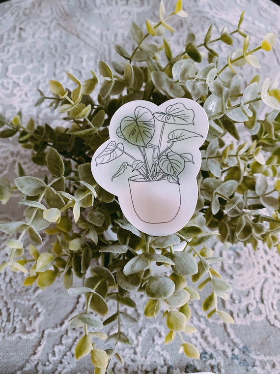 Monstera Deliciosa Sticker - Etsy