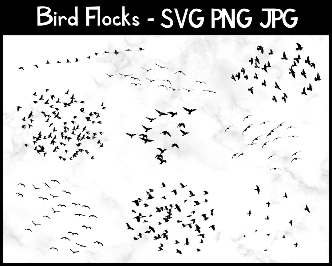 Flock of Birds Svg Bundle, SVG, JPG, PNG, Commercial Use, Digital Cut ...