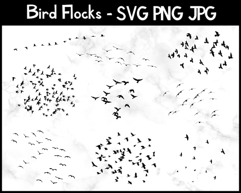 Flock of Birds Svg Bundle SVG JPG PNG Commercial Use | Etsy